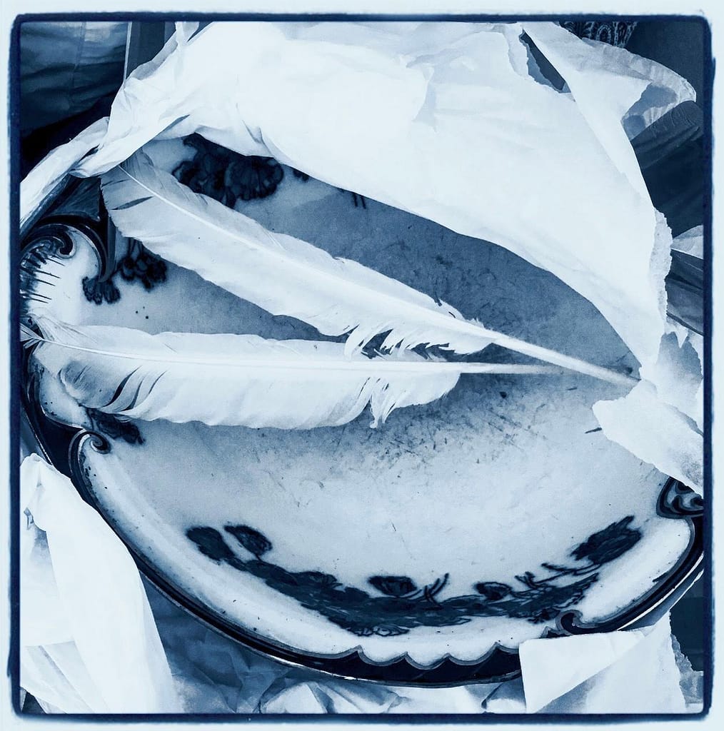 Art@hospitals - The White Feather Foundation