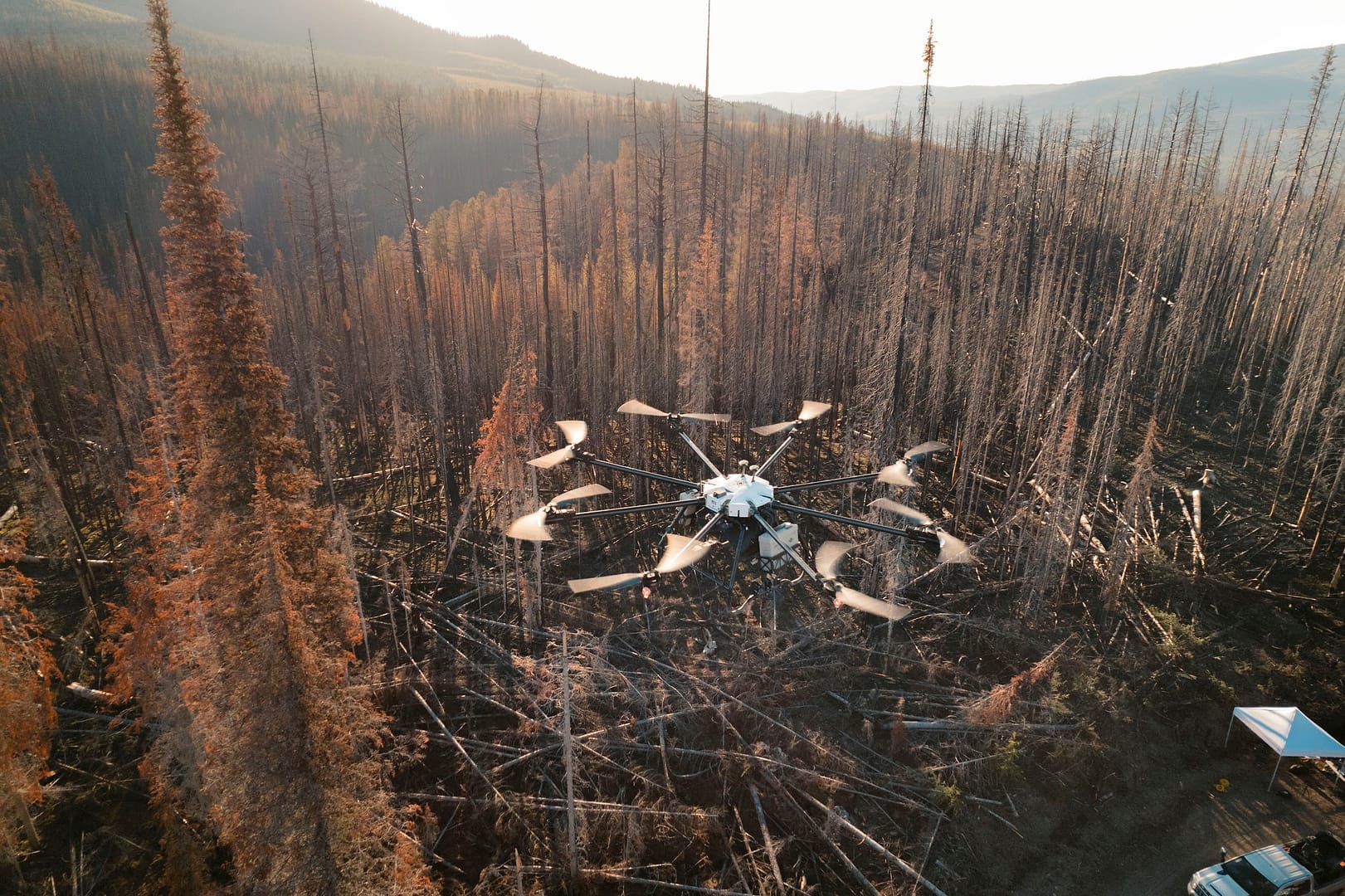 The White Feather Foundation Joins Forces With Flash Forest
