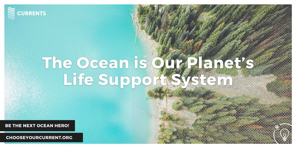 The Ocean Foundation
