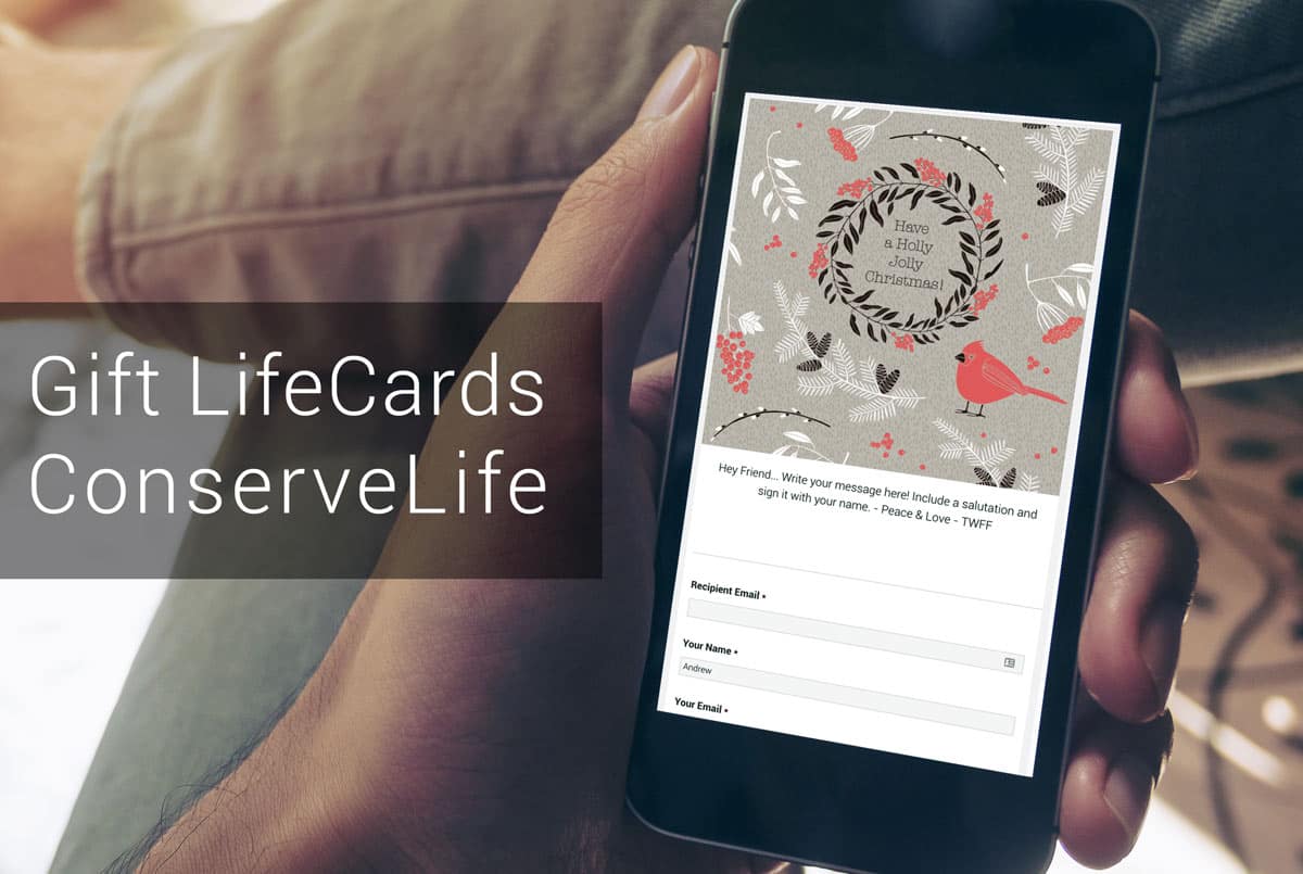 LifeCards - The White Feather Foundation